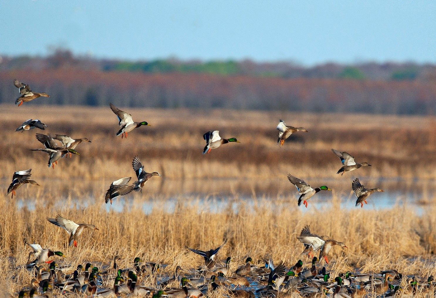 2023 Farm Bill | Arkansas Wildlife Federation